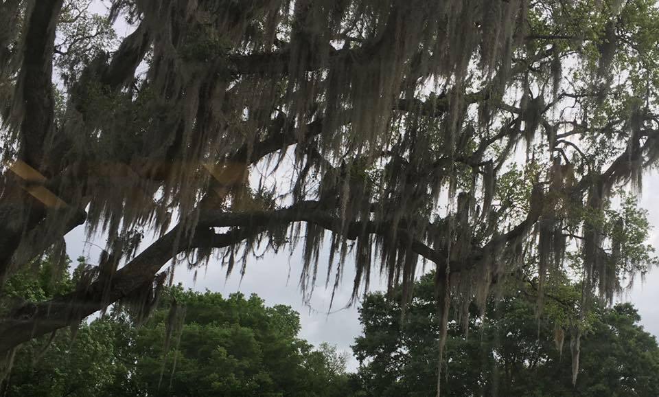 Conversation with Dr. Keith Clark April 22, 2015 – Interminable Rambling