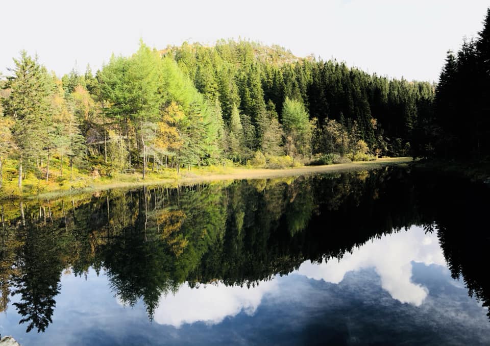 Norway and Emerson! – Interminable Rambling